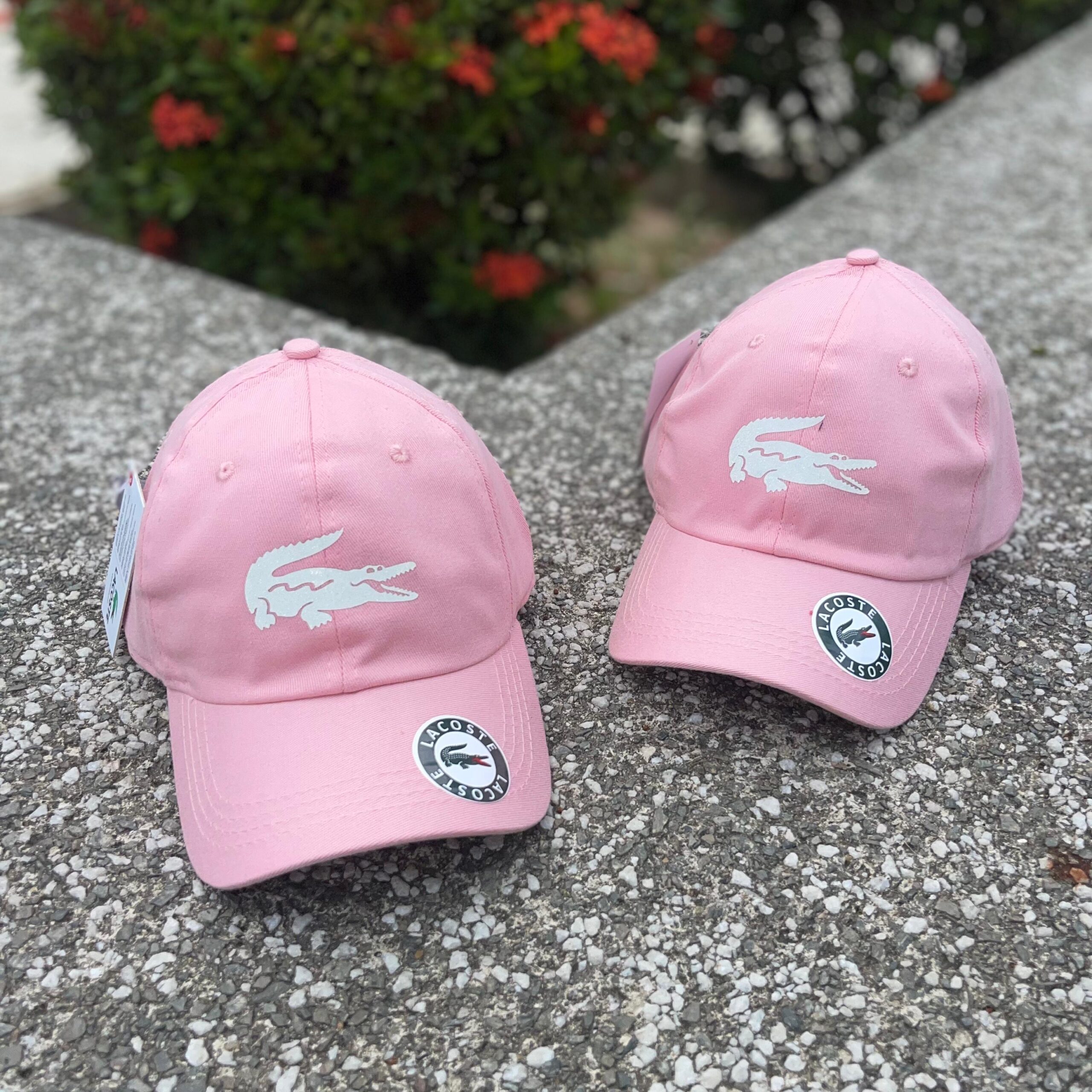 Loredo Bones – My WordPress Blog