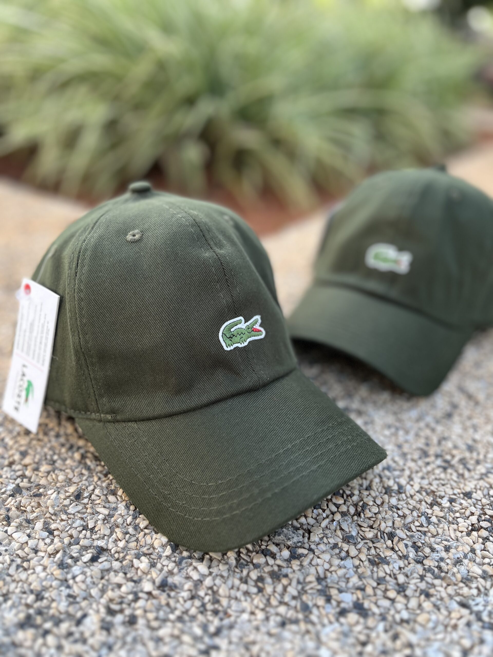 Loja – Loredo Bones