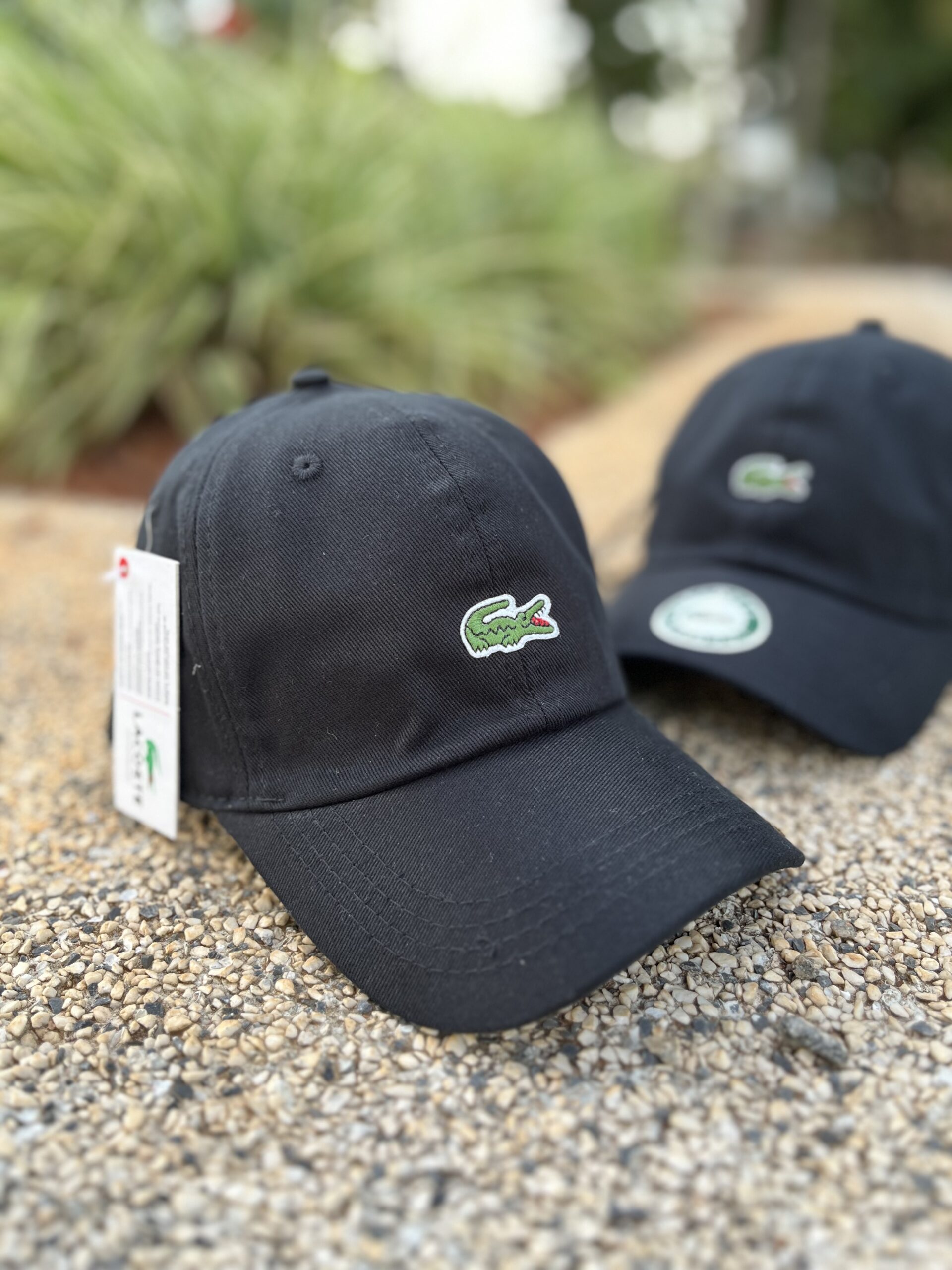 Loja – Loredo Bones